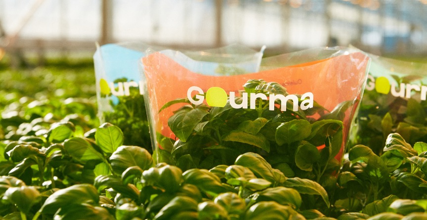 Gourma choisi l'éclairage DEL dynamique de Sollum Technologies